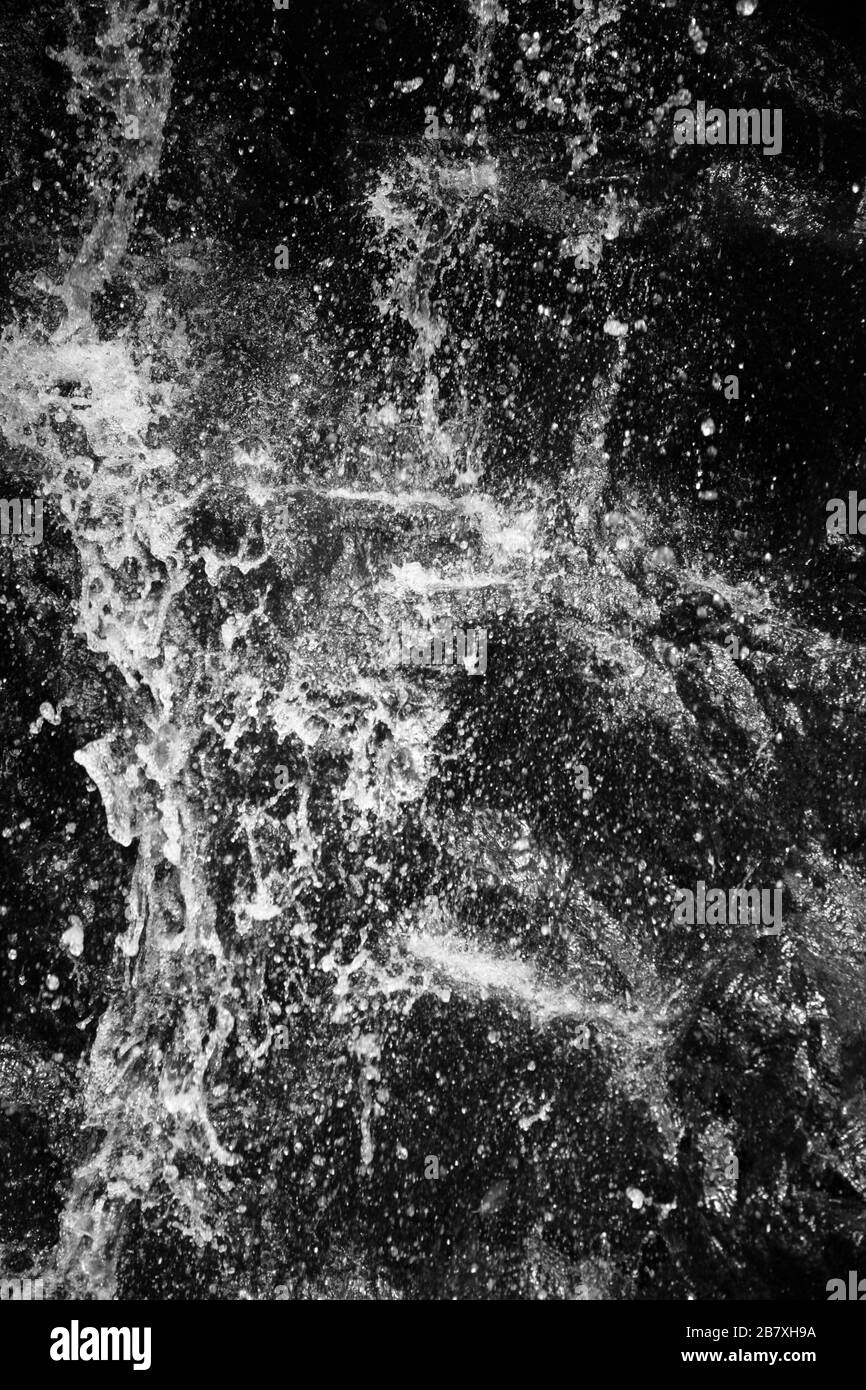 Feature pictures Black and White Stock Photos & Images - Alamy