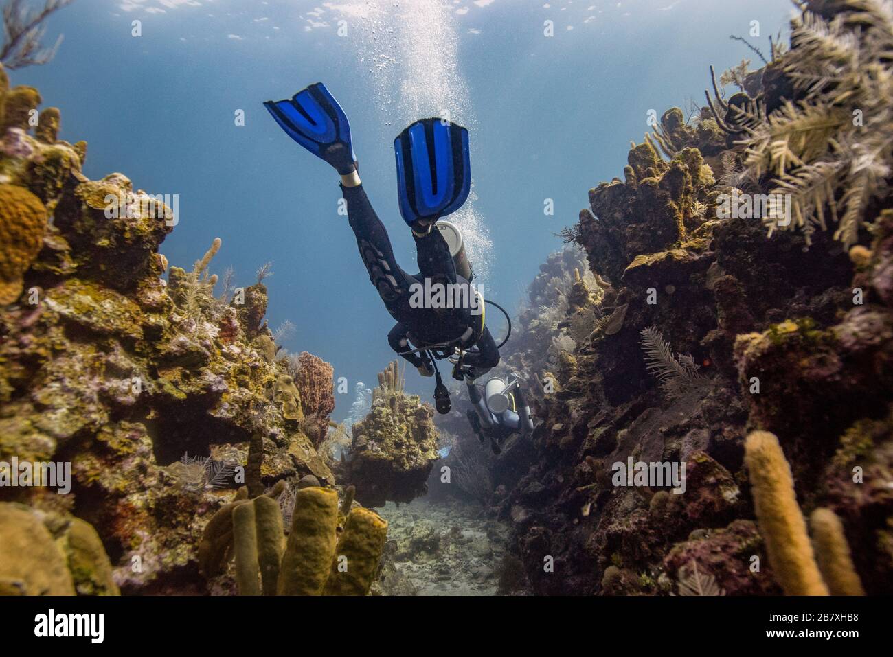 Dive Site - Blue Channel Stock Photo - Alamy