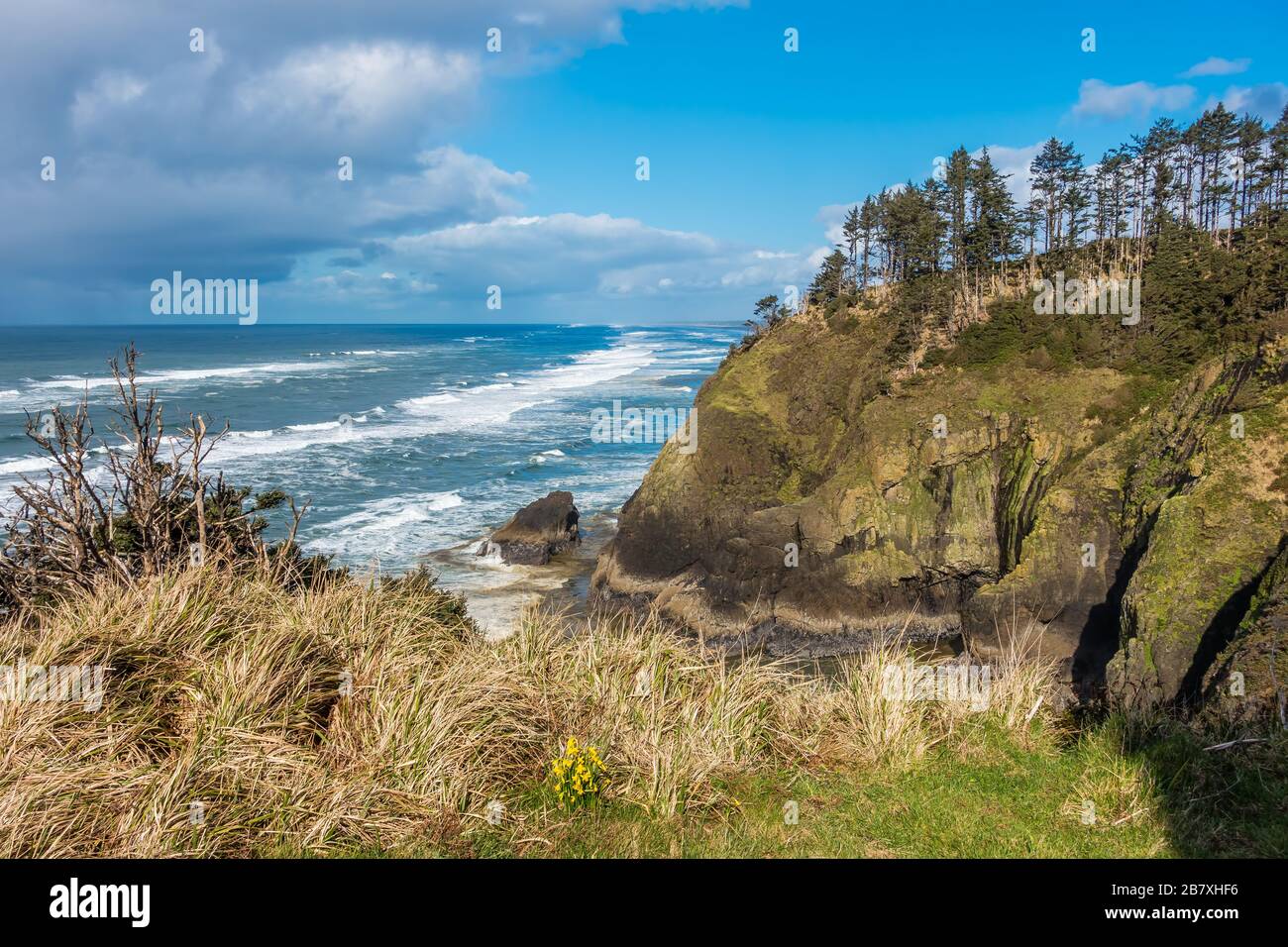 Washington state coast hi-res stock photography and images - Alamy