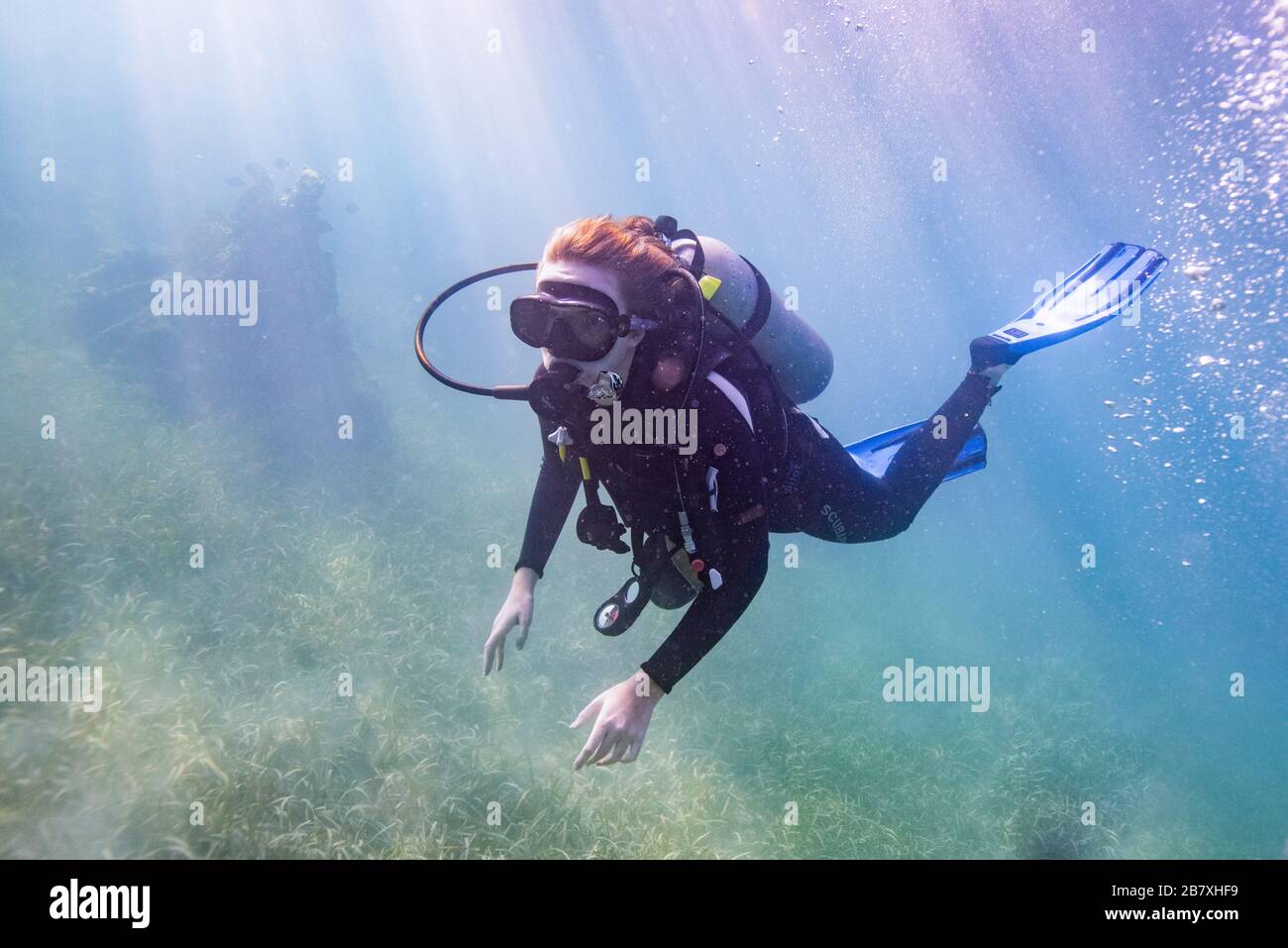 Dive Site - Blue Channel Stock Photo - Alamy