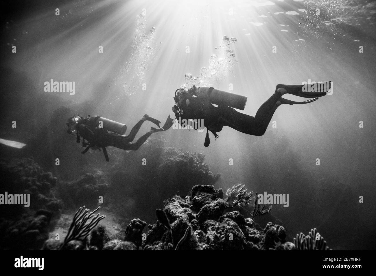 Dive Site - Blue Channel Stock Photo - Alamy