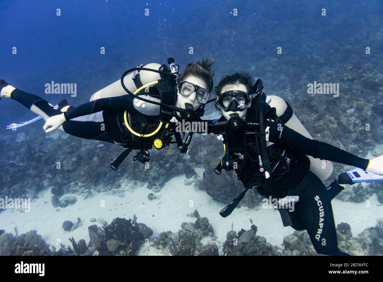 Scuba Diving Honduras Stock Photo - Alamy