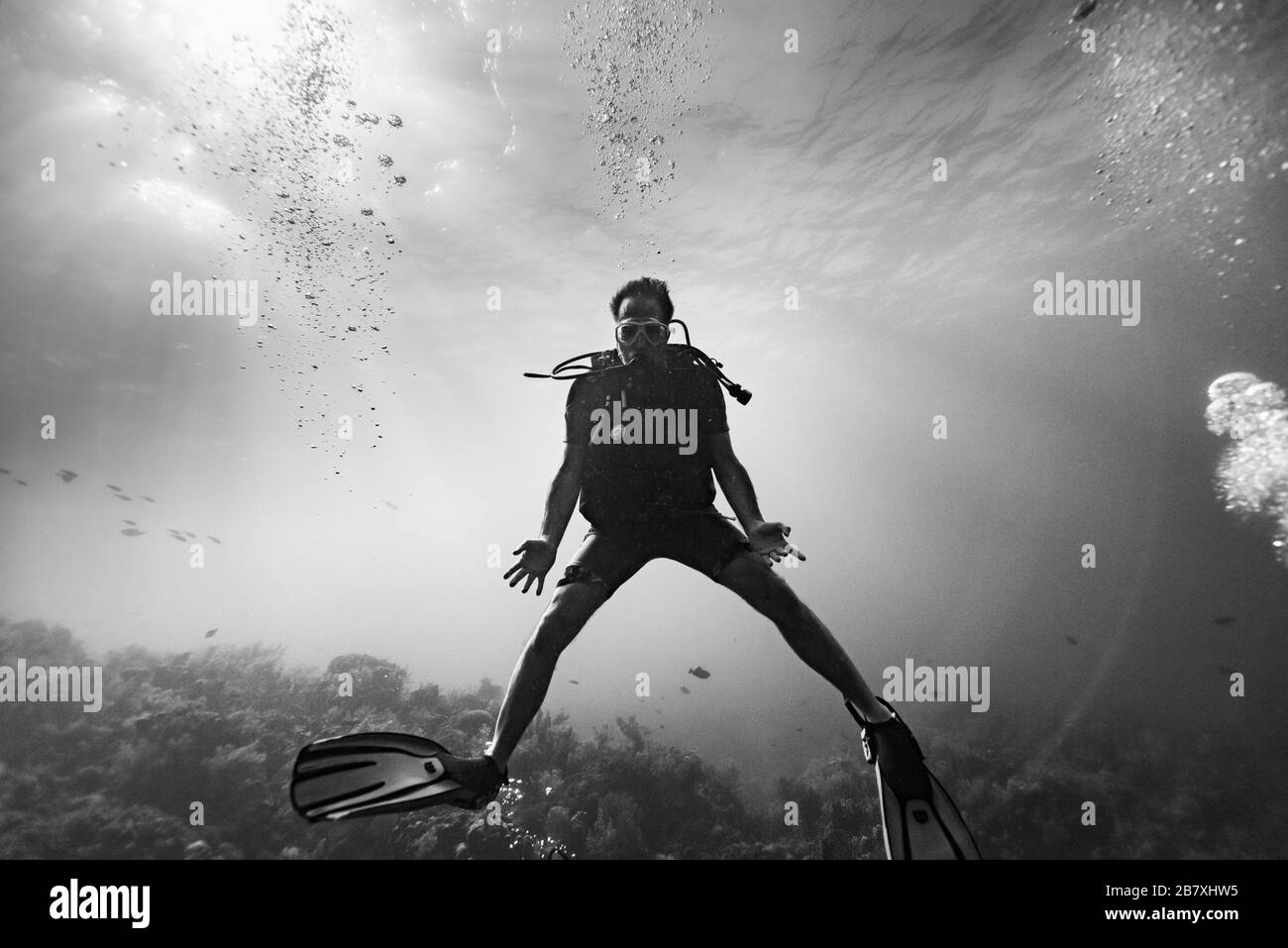 West end park Black and White Stock Photos & Images - Alamy