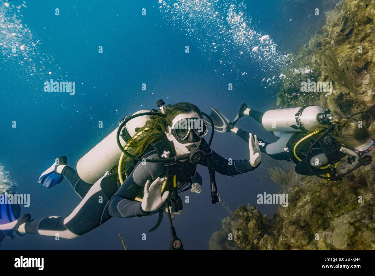 Scuba diving Roatan Marine Park Honduras Stock Photo - Alamy
