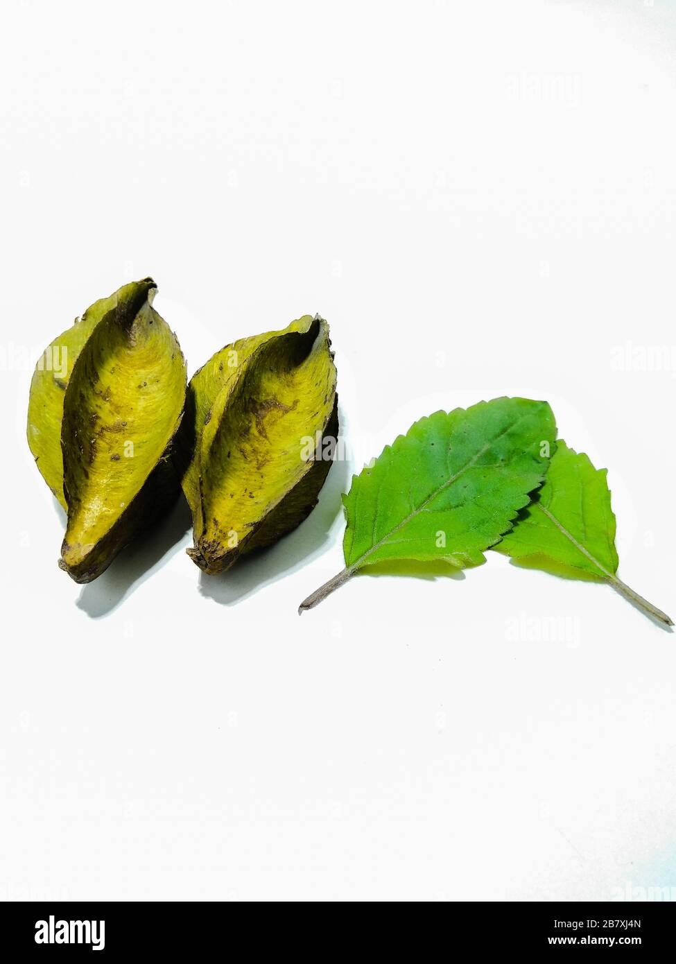 Star fruit carambola kamrak hi-res stock photography and images - Alamy