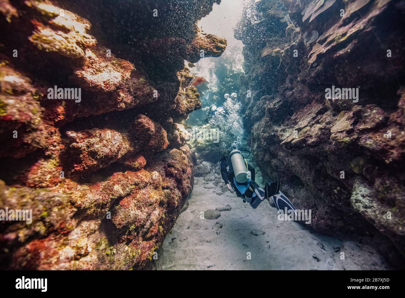 Dive Site - Blue Channel Stock Photo - Alamy