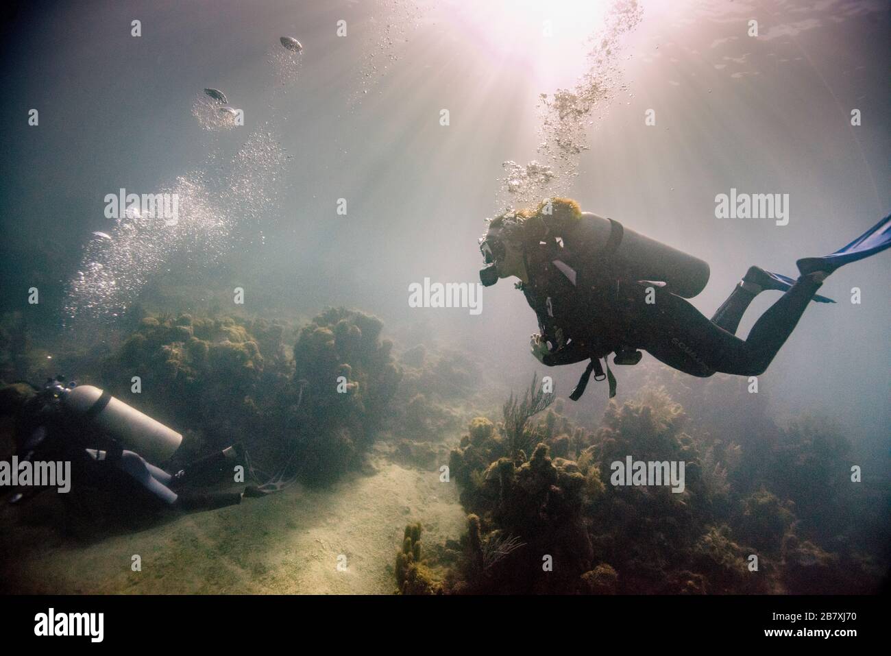 Dive Site - Blue Channel Stock Photo - Alamy