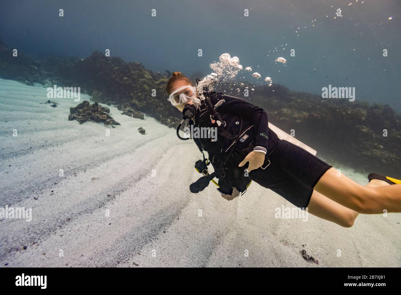 South Side of Roatan Island - Dive Site - Cemetary Wall Stock Photo - Alamy
