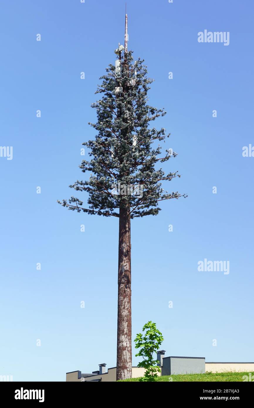 Mobile phone mast disguised tree hi-res stock photography and images ...