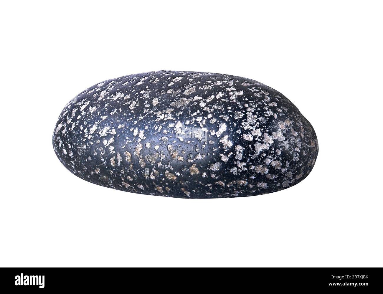 Oval scale hi-res stock photography and images - Alamy