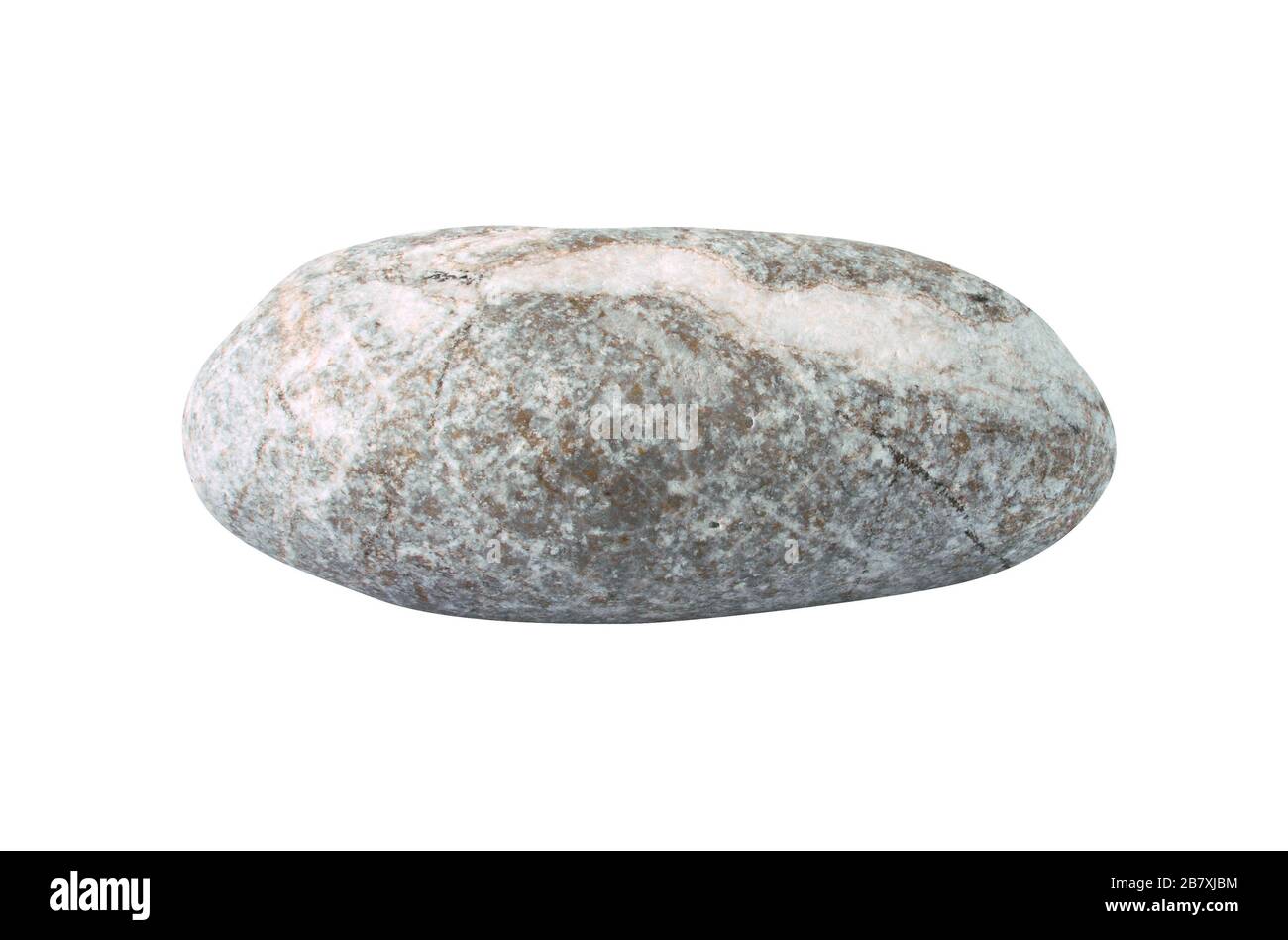 Oval scale hi-res stock photography and images - Alamy