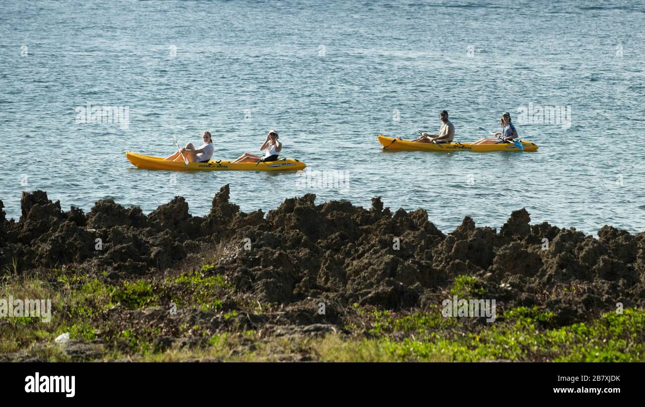 Couples paddling boats Roatan Honduras Stock Photo - Alamy