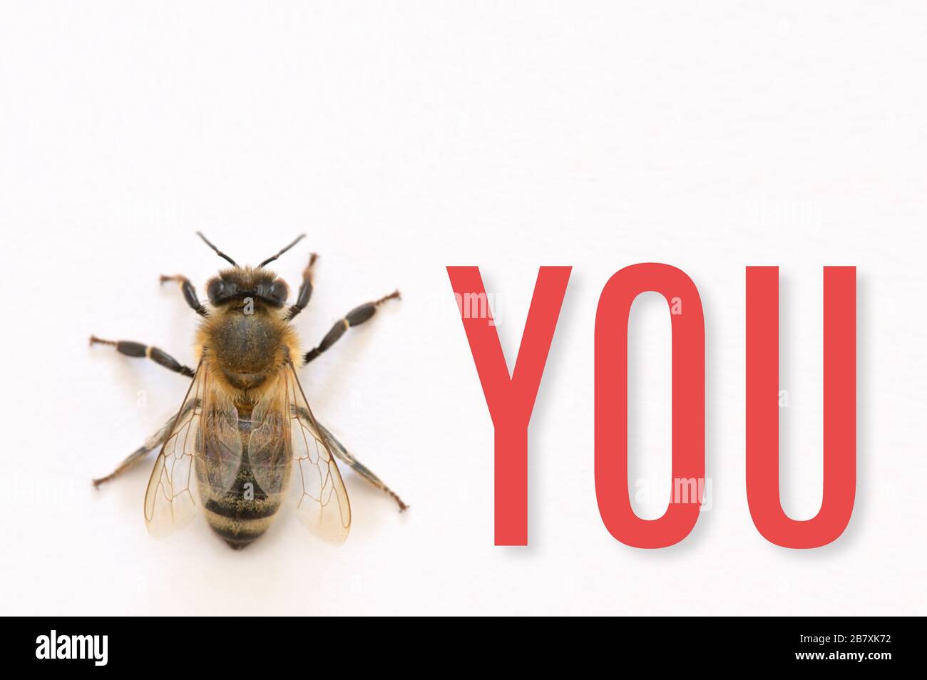 A figure of speech hi-res stock photography and images - Alamy