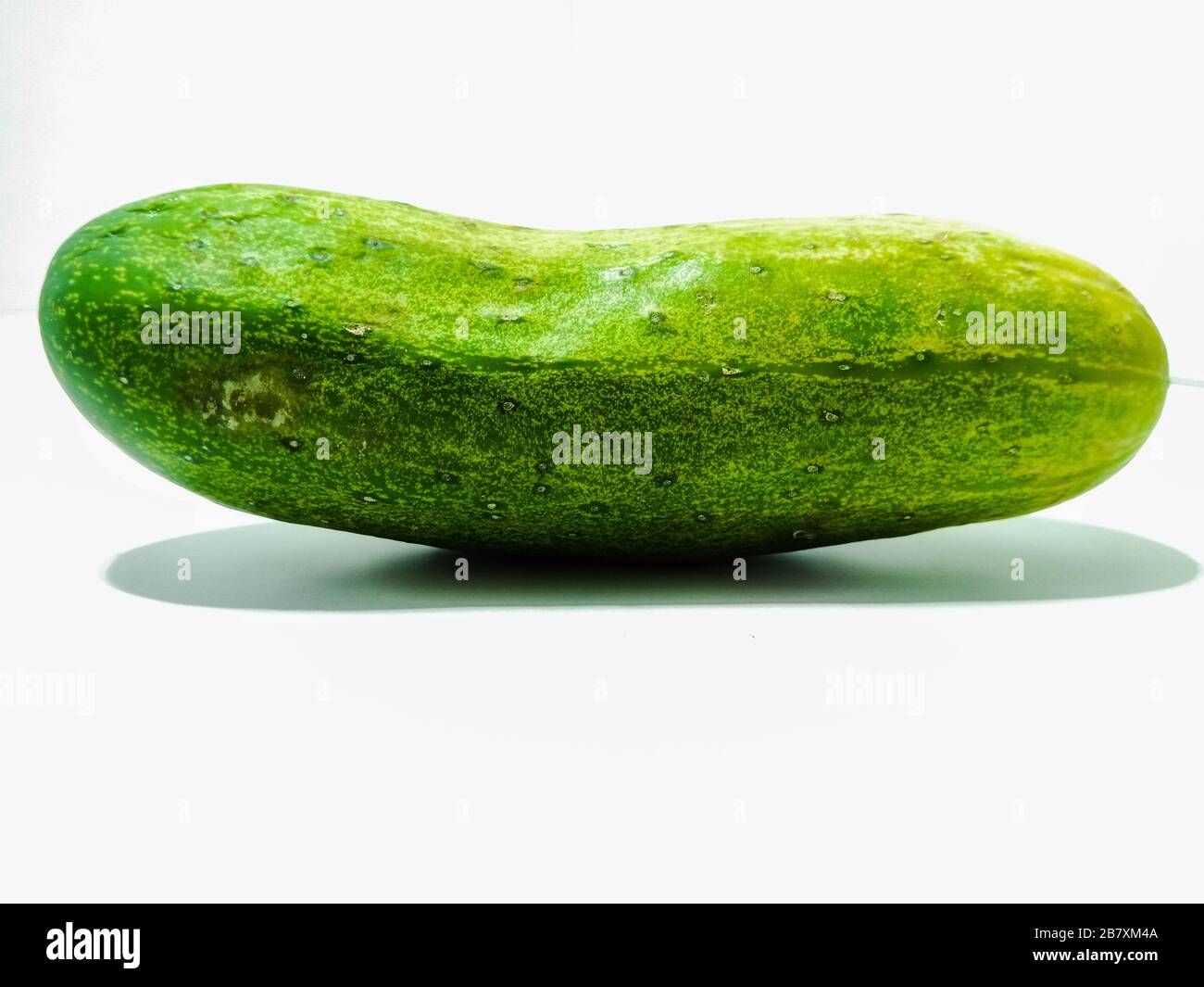 A picture of cucumber Stock Photo - Alamy