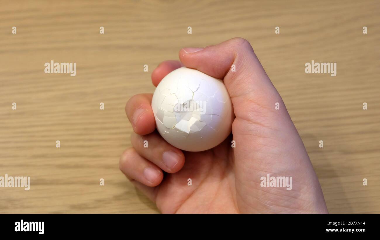 A hand holding a white chicken egg, with the end of the egg dented with ...