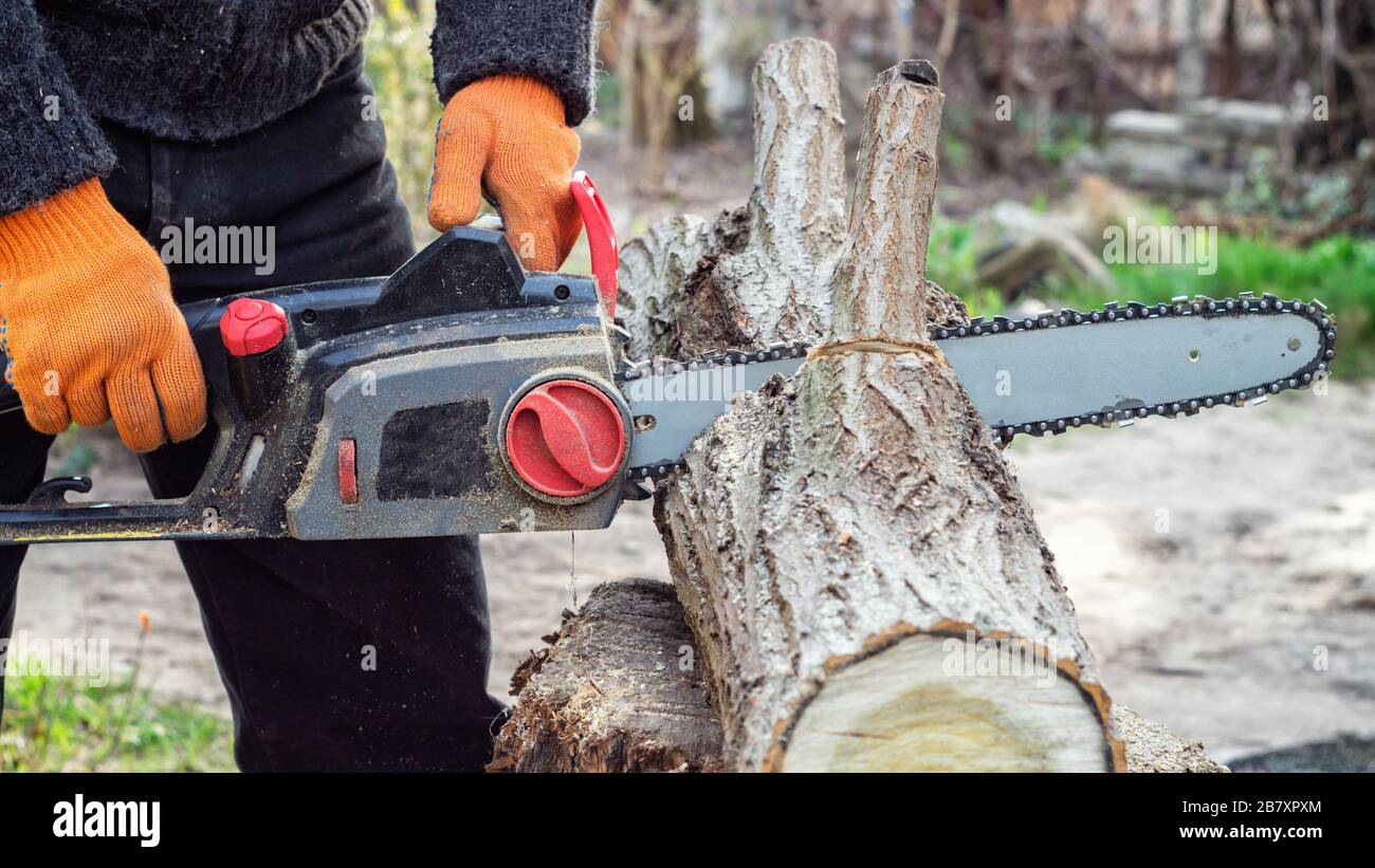 Woodcutter master hi-res stock photography and images - Alamy