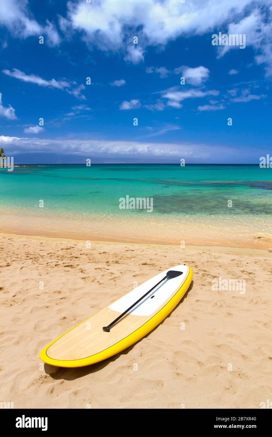 Padlle board hi-res stock photography and images - Alamy