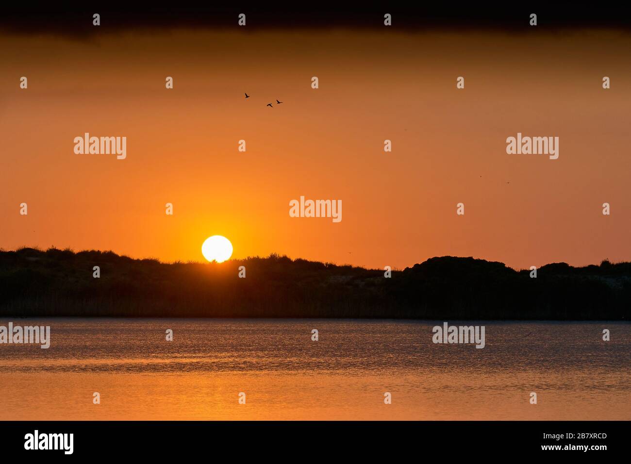 Flying yellow duck hi-res stock photography and images - Alamy