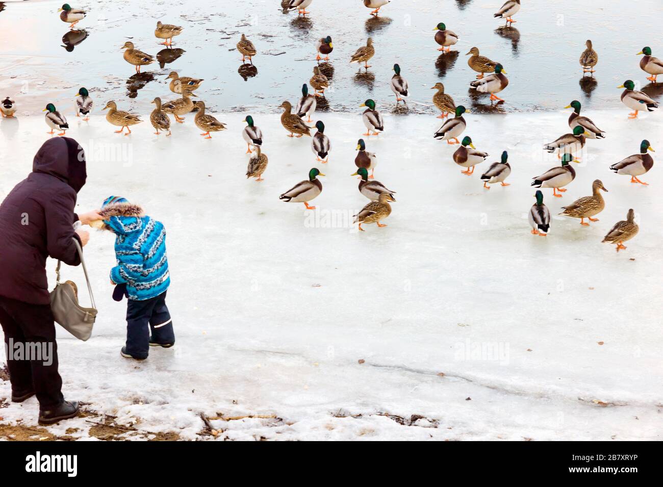 a woman pulling a child off the ice, winter scene Stock Photo - Alamy