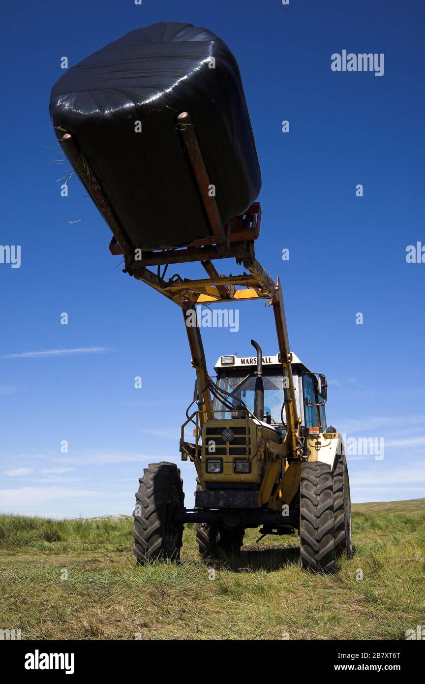 Tractor carrying a newly wrapped big bale with a grab on a front end ...
