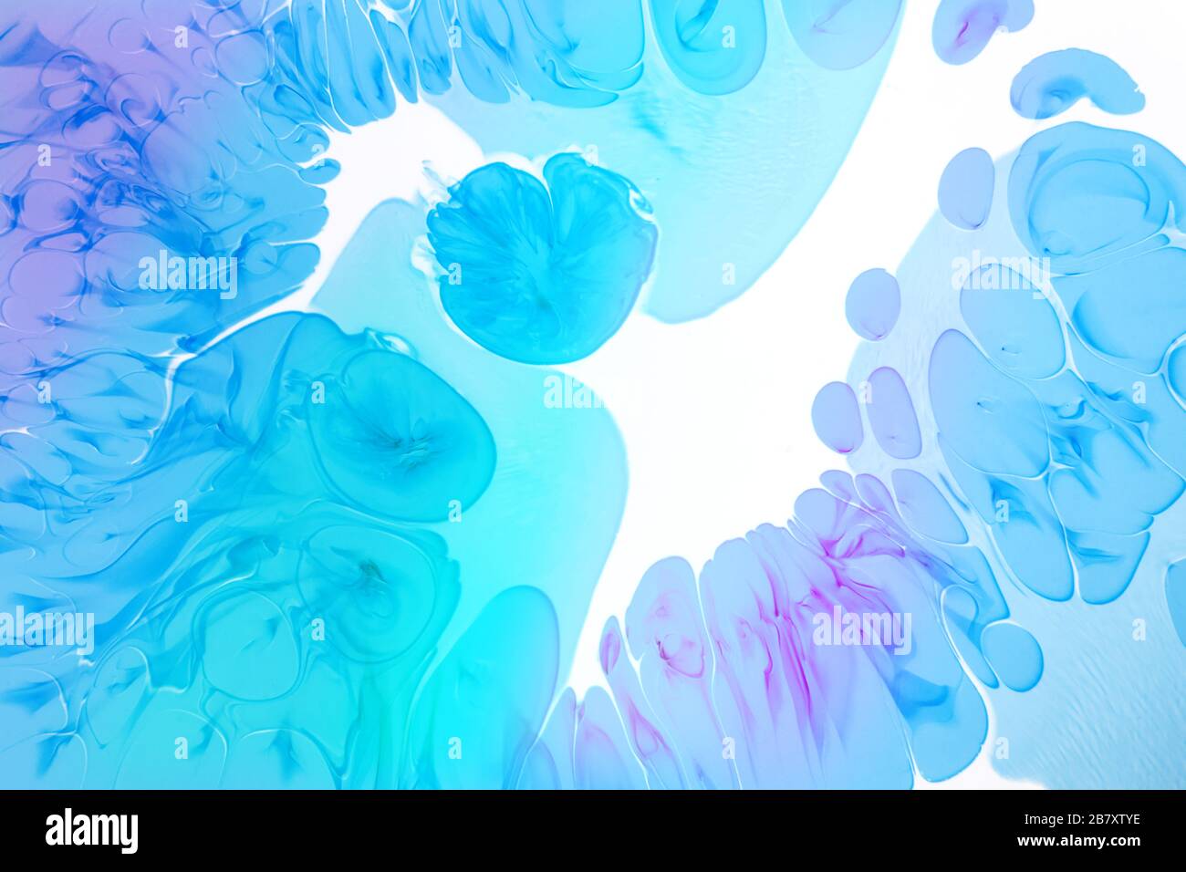 Abstract blue drops on the white background. View of macro world ...