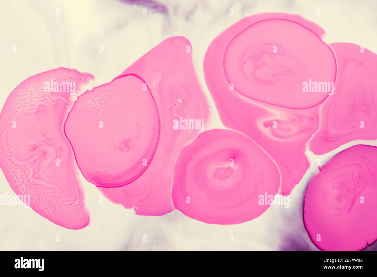 Abstract colored pink and white acrylic paints. View of macro world ...