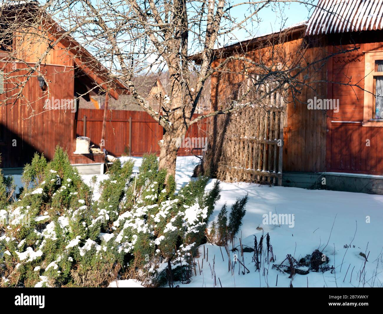 Countryside houses and yard covered with melting snow in March Stock ...