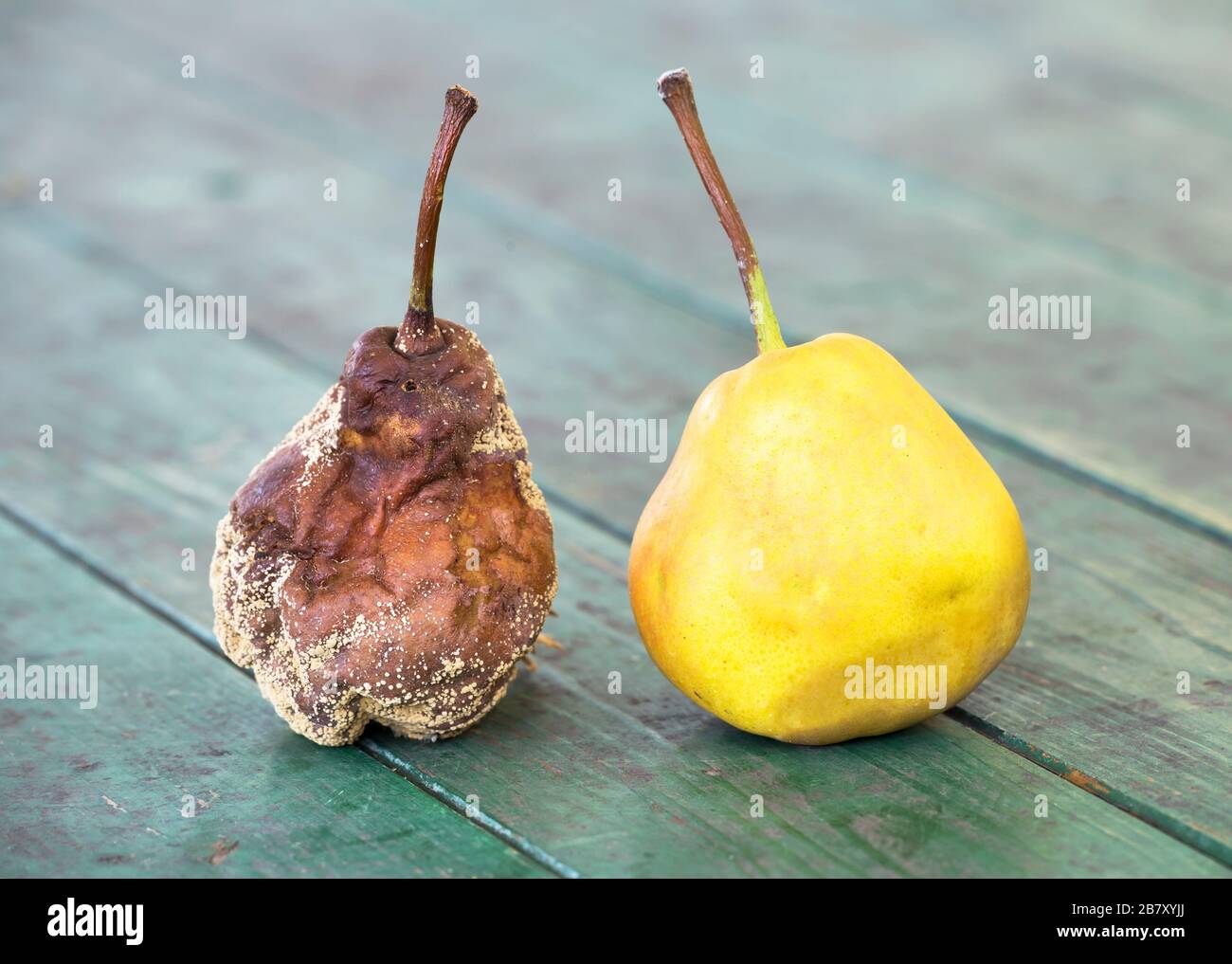Spoiled Pear High Resolution Stock Photography and Images - Alamy