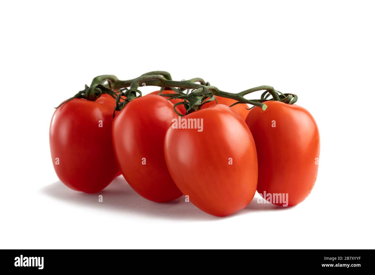 Oblong fresh red tomatoes isolated on a white background with clipping ...