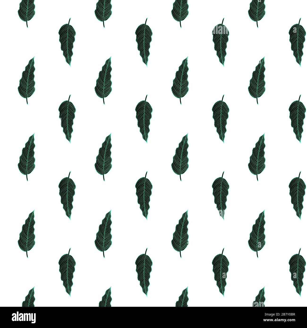 Philodendron plant line art Cut Out Stock Images & Pictures - Alamy