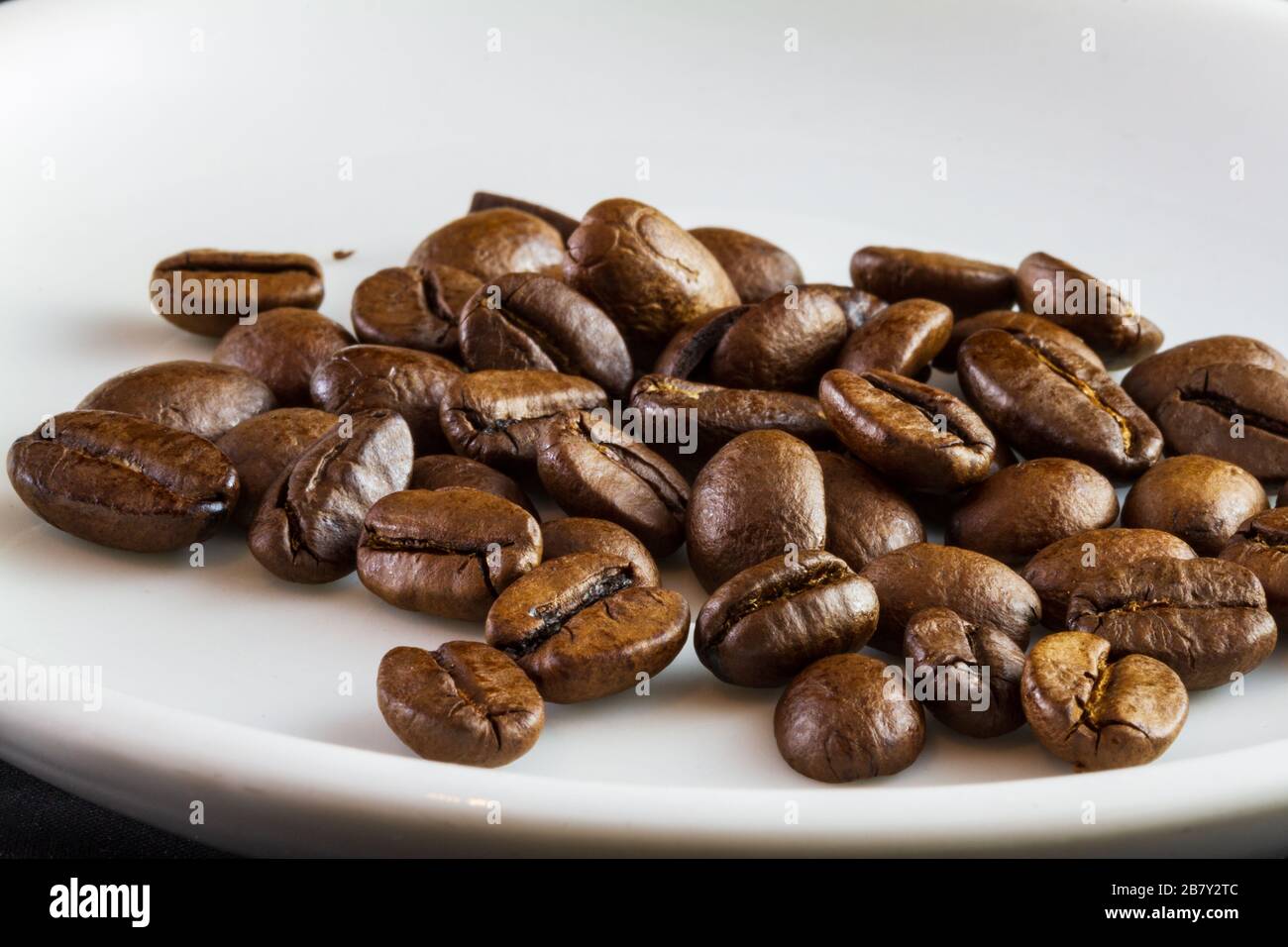 Concept seed capture hi-res stock photography and images - Alamy