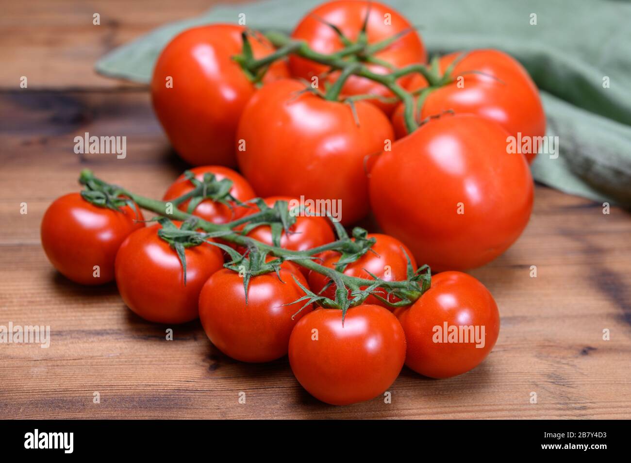 Greenhouse Tomato Holland High Resolution Stock Photography and Images ...