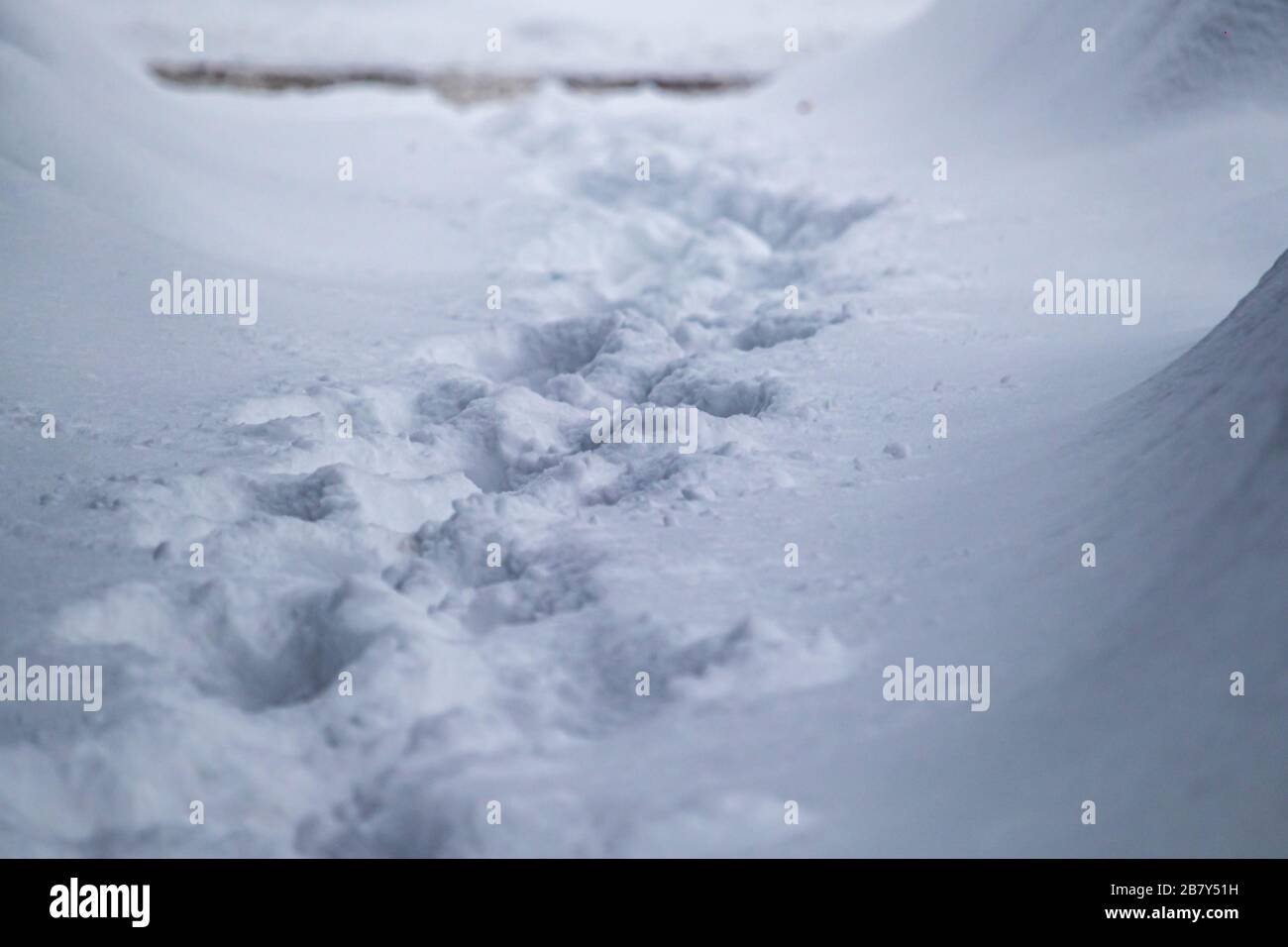 Boot prints hi-res stock photography and images - Alamy