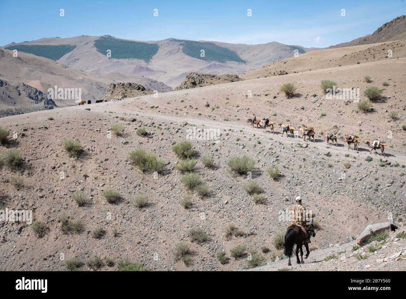 Traveling with the Nomadic people of Mongolia as they migrate fromm ...