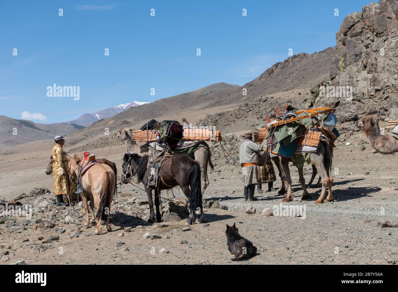 Traveling with the Nomadic people of Mongolia as they migrate fromm ...