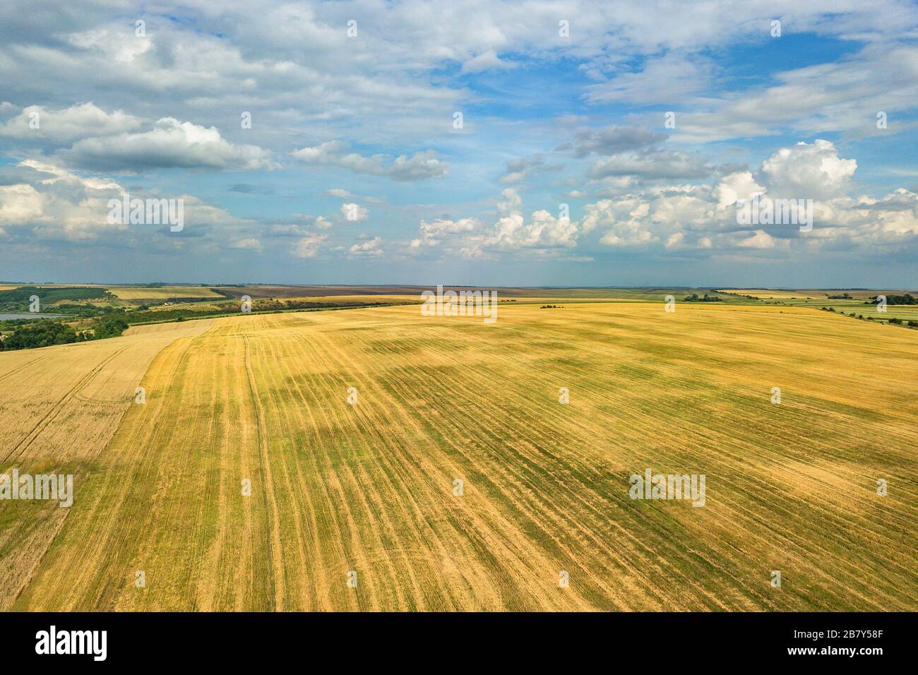 Aerial rural landscape with yellow patched agriculture fields and blue ...