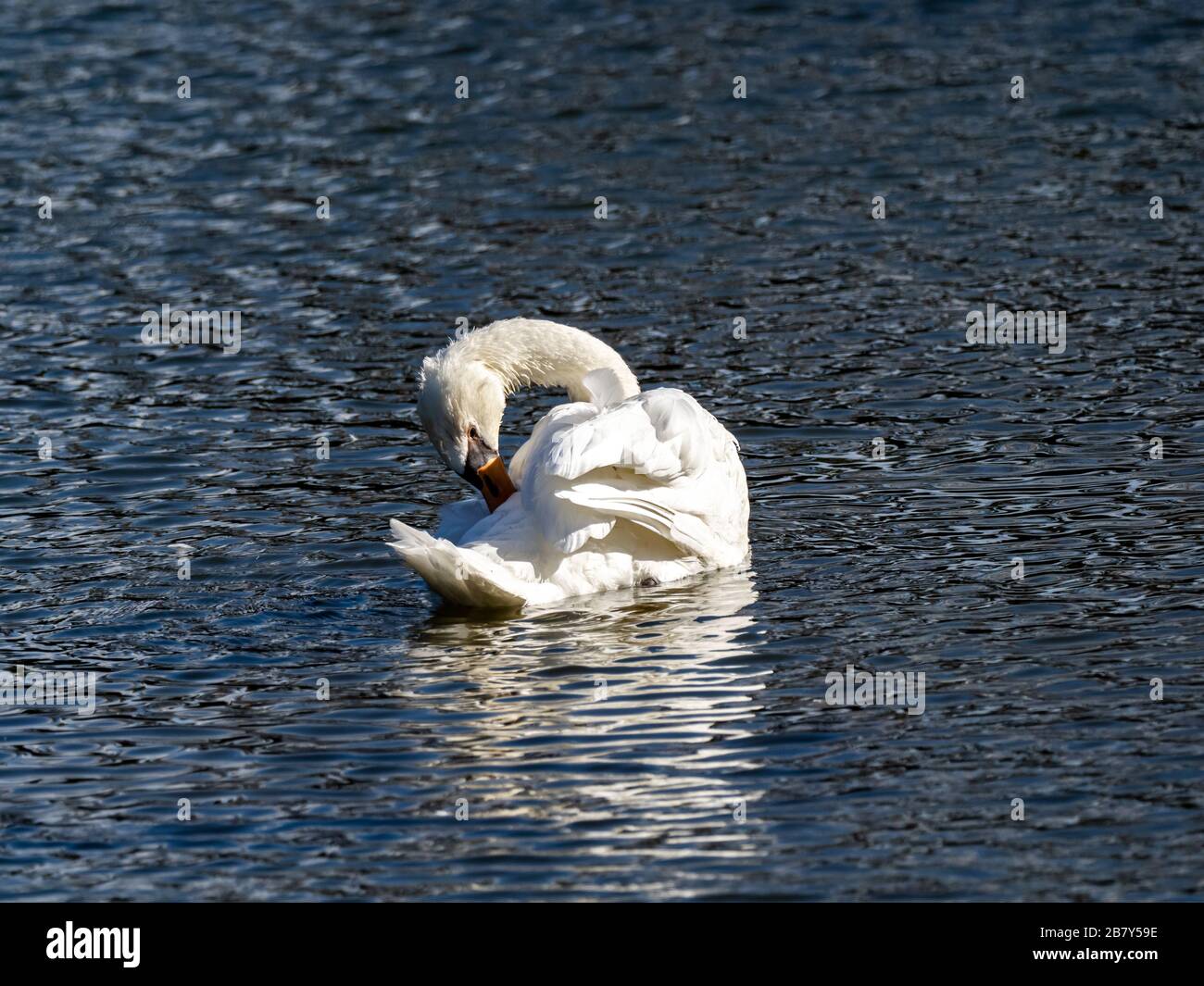 Kanuma japan hi-res stock photography and images - Alamy