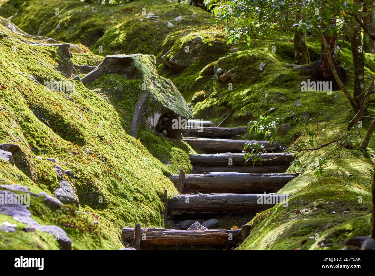 Hidden path hi-res stock photography and images - Alamy