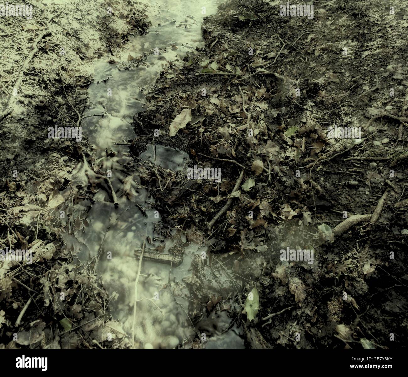 Illustrating Natures chaos with natural environment portraits Stock ...