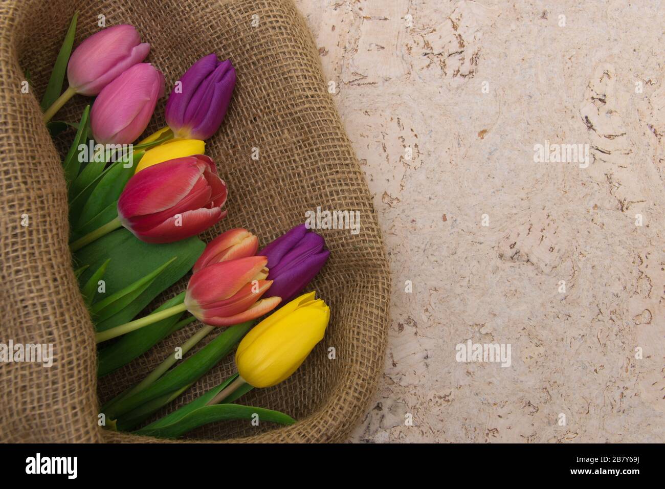 Multicolor tulips bouquet in natural fabric wrapping paper. Spring ...