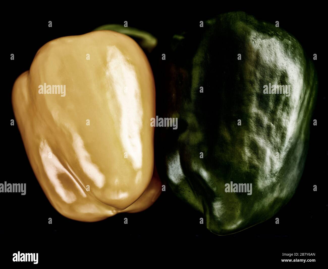 Anti christopher columbus hi-res stock photography and images - Alamy