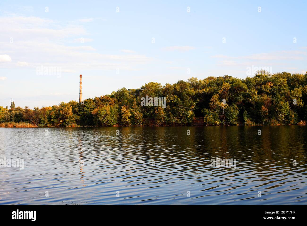Inside a forest at sunset hi-res stock photography and images - Alamy