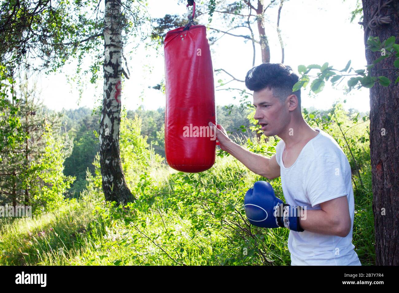 young caucasian guy boxing in gloves outside in green park, lifestyle ...