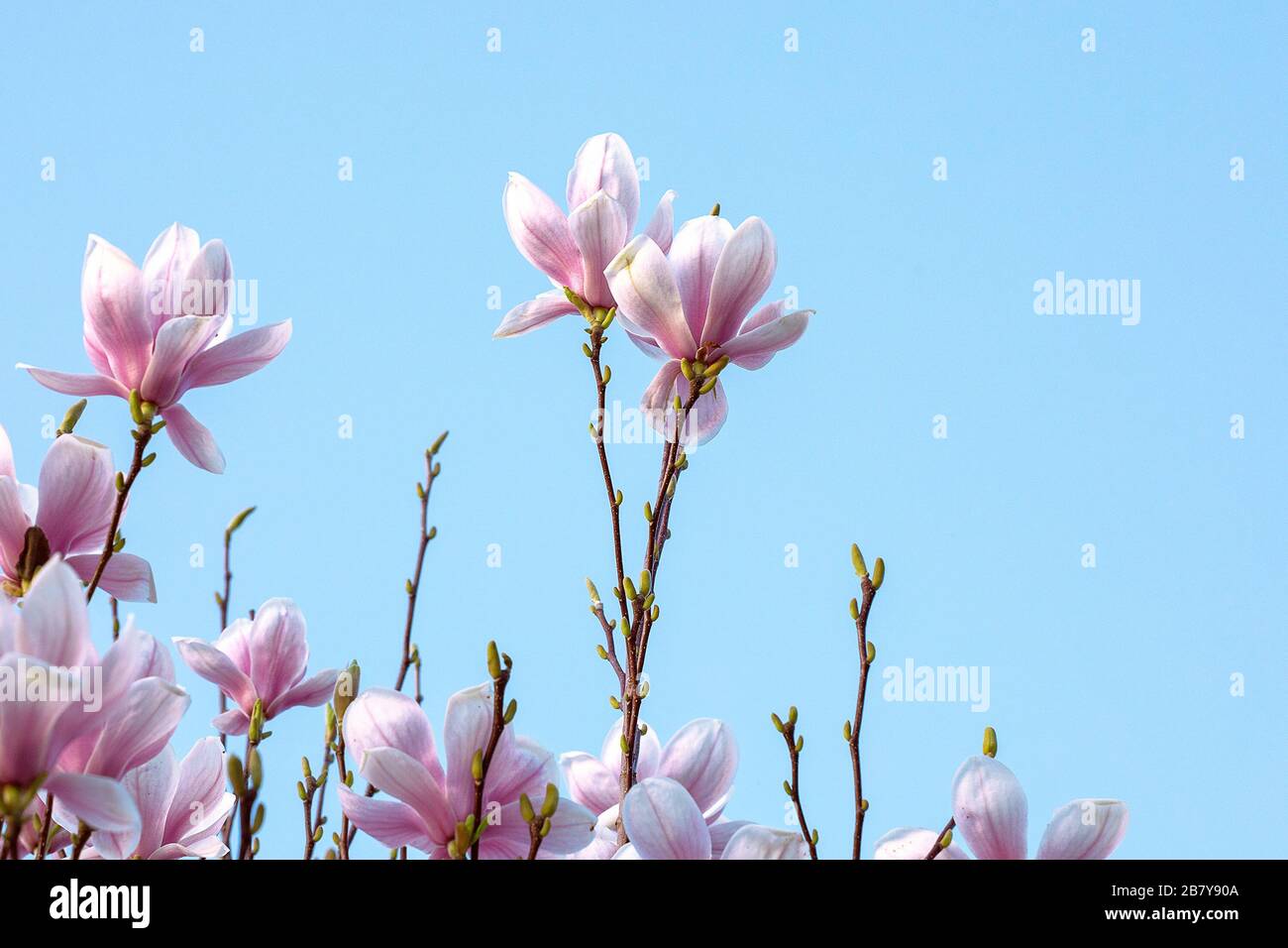 Spring season vibes hi-res stock photography and images - Alamy