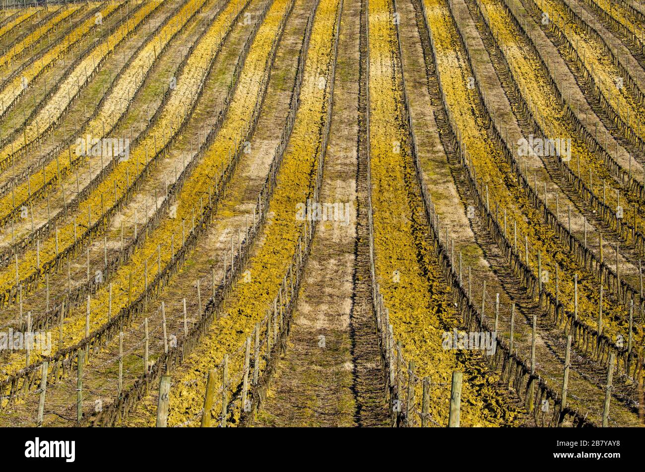 Landscape of a field in a rural area under the sunlight - background ...