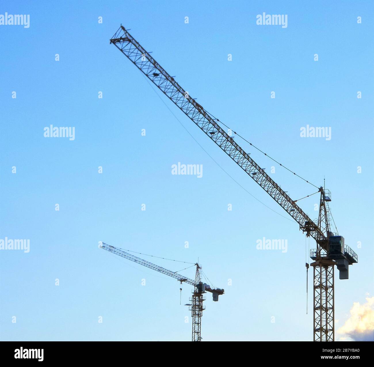 Slender build hi-res stock photography and images - Alamy