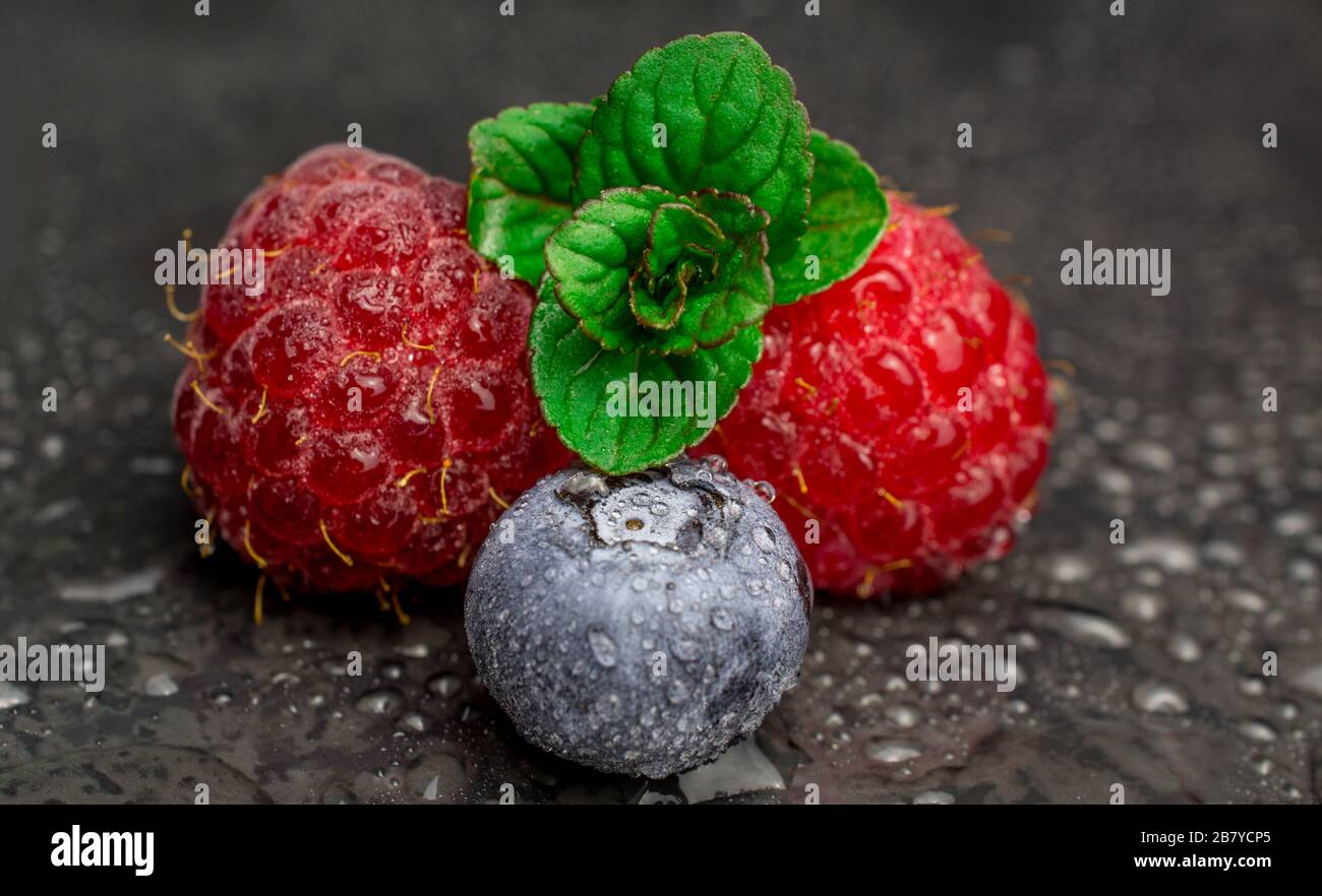 red raspberry blueberry fresh mint on black background with waterdrop ...