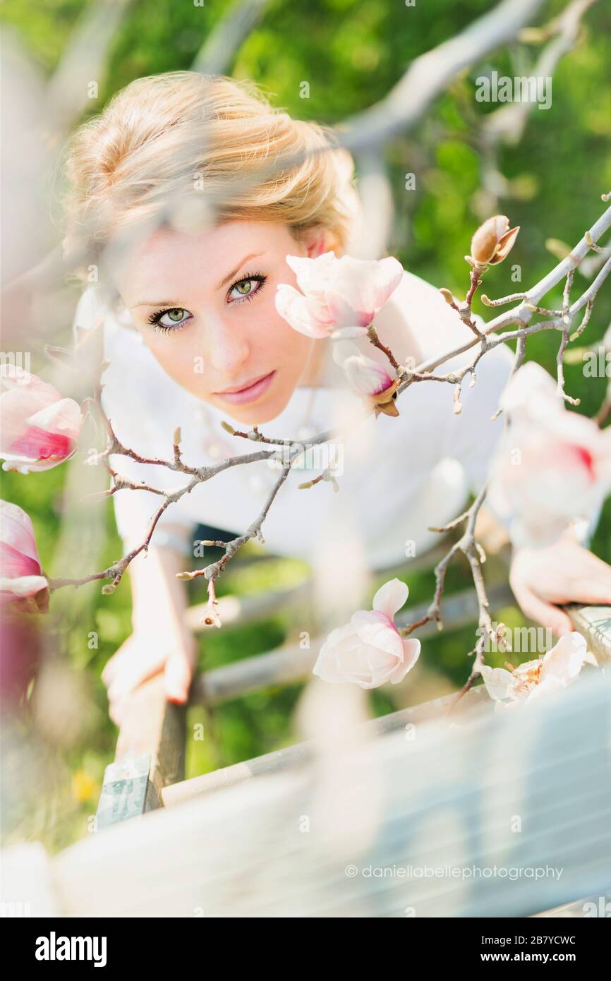 Looking through the branches of a tree hi-res stock photography and images - Alamy