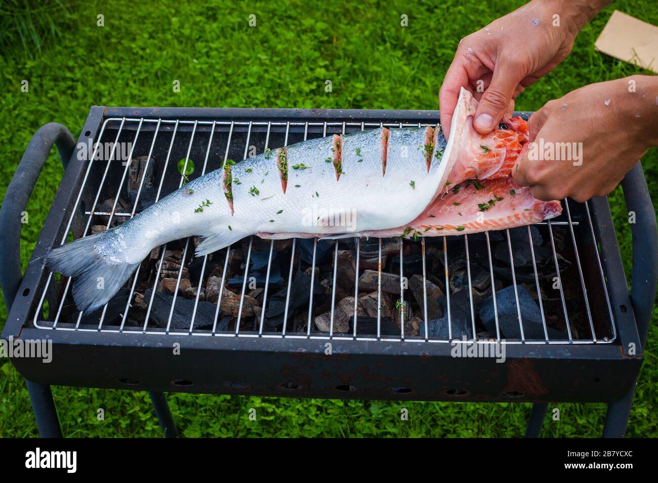 Salmon barbecue during the preparation - filling the cut fish with ...
