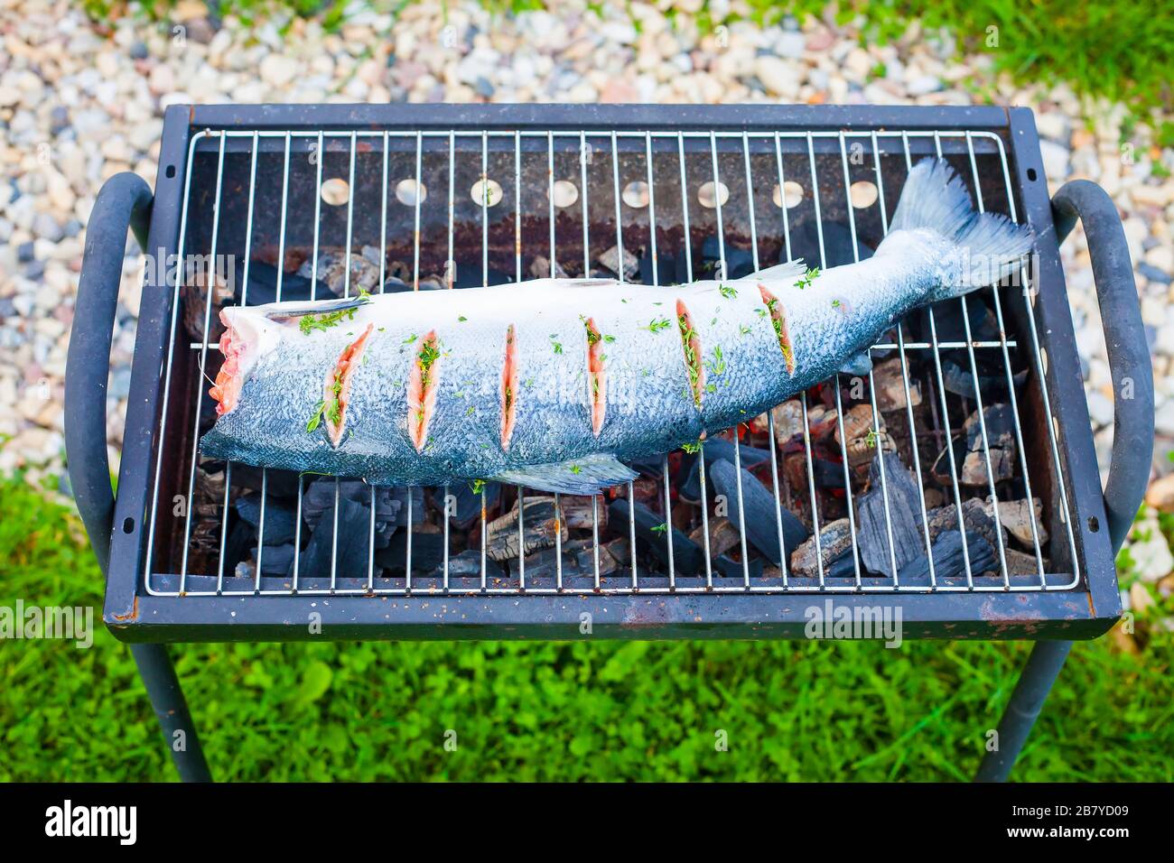 Large salmon fish grilling on barbecue outdoors Stock Photo - Alamy